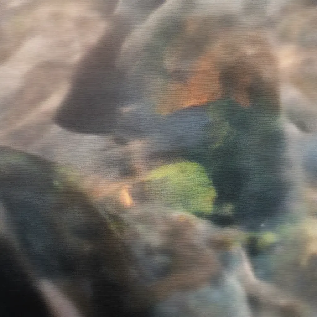 Biodiversity Conservation: Effective Strategies & Examples